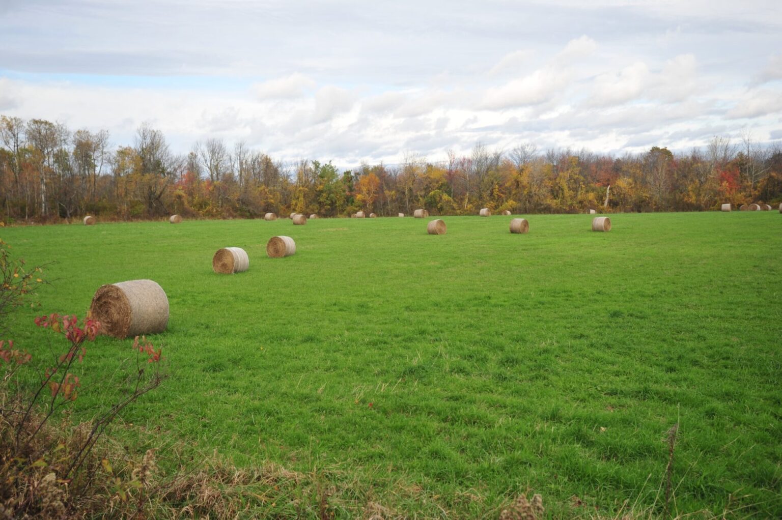 Benefits of Using a Debit Card vs. Cash or Check | Iron Bank